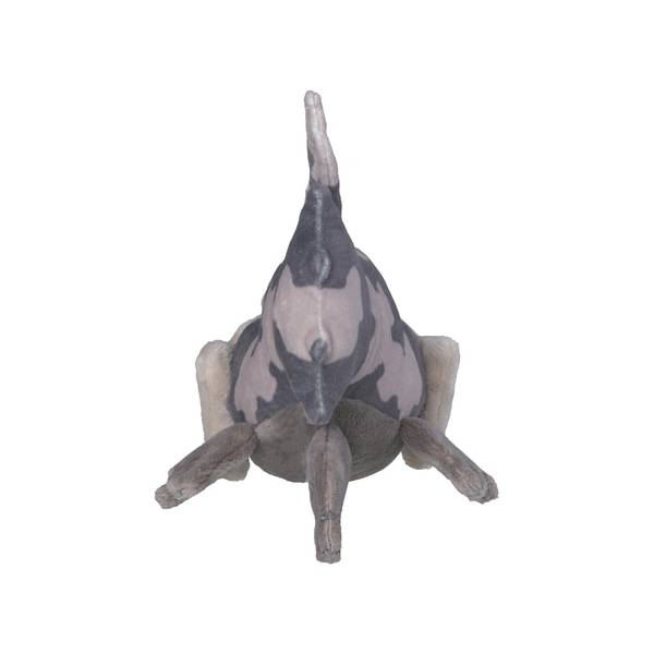 Pokemon Plush: Relicanth - Pokémon fit - Limited Edition | Nin-Nin-Game.com