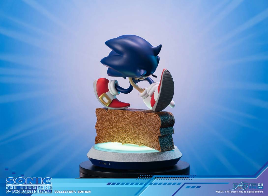 SONIC ADVENTURE: Sonic the Hedgehog (Collector's Edition) | Nin-Nin-Game.com