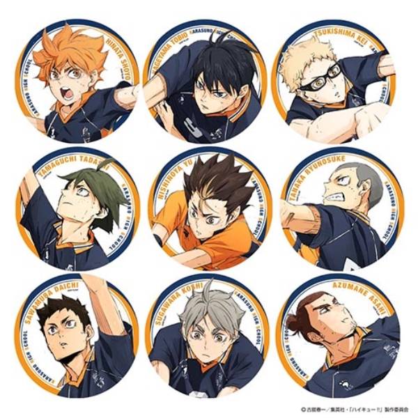Haikyuu!!: Clear Fan Collection - Karasuno High (9 Packs/Box) [Ensky ...