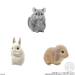 Shokugan: Mofumofu Tenori Friends 2 - Small Animal - 12 Packs/Box ...
