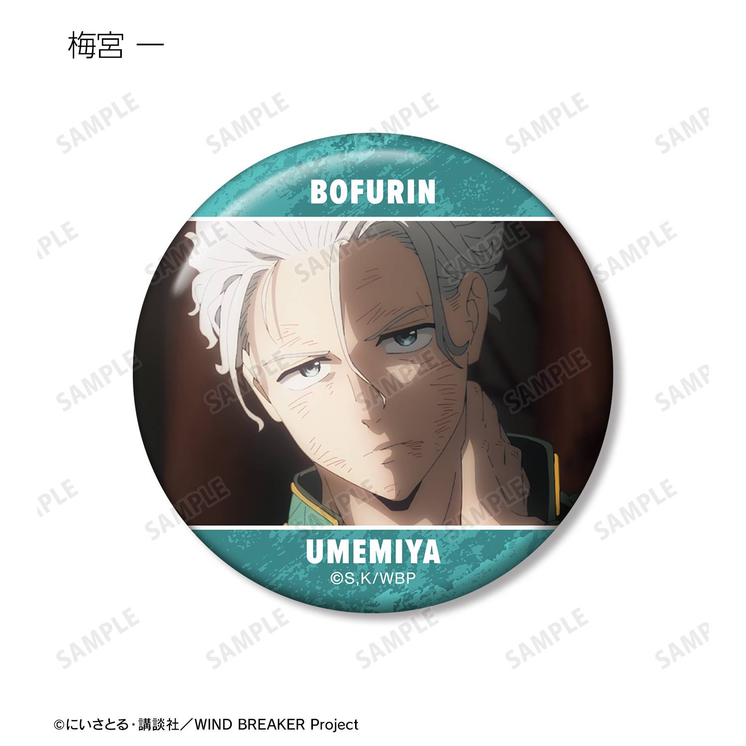 WIND BREAKER: Trading Can Badges (7 Packs / Box) [Arma Bianca] - Nin ...