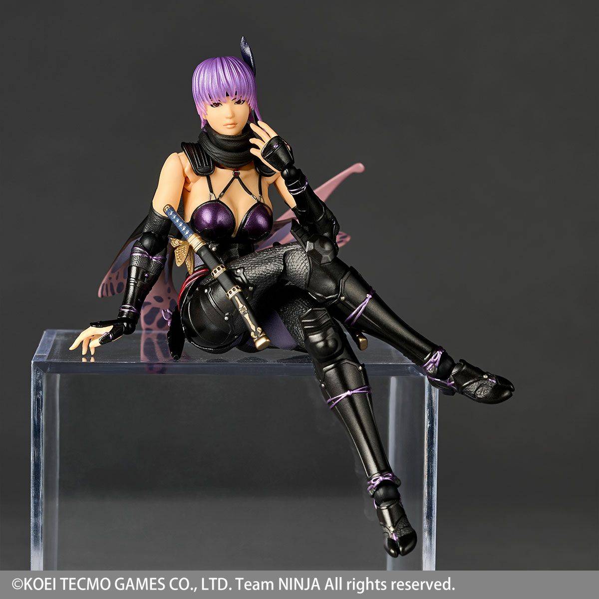 Amazing Yamaguchi/Revoltech: Ninja Gaiden III - Ayane (Limited Edition + Bonus) [Kaiyodo] - Nin ...
