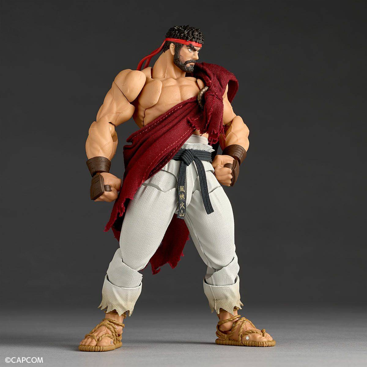 Amazing Yamaguchi / Revoltech: Street Fighter 6 - Ryu (Limited + Bonus ...