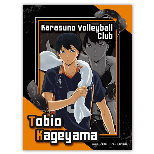 Haikyuu!!: Paper Shadow Art Mini - Tobio Kageyama [Ensky] - Nin-Nin ...