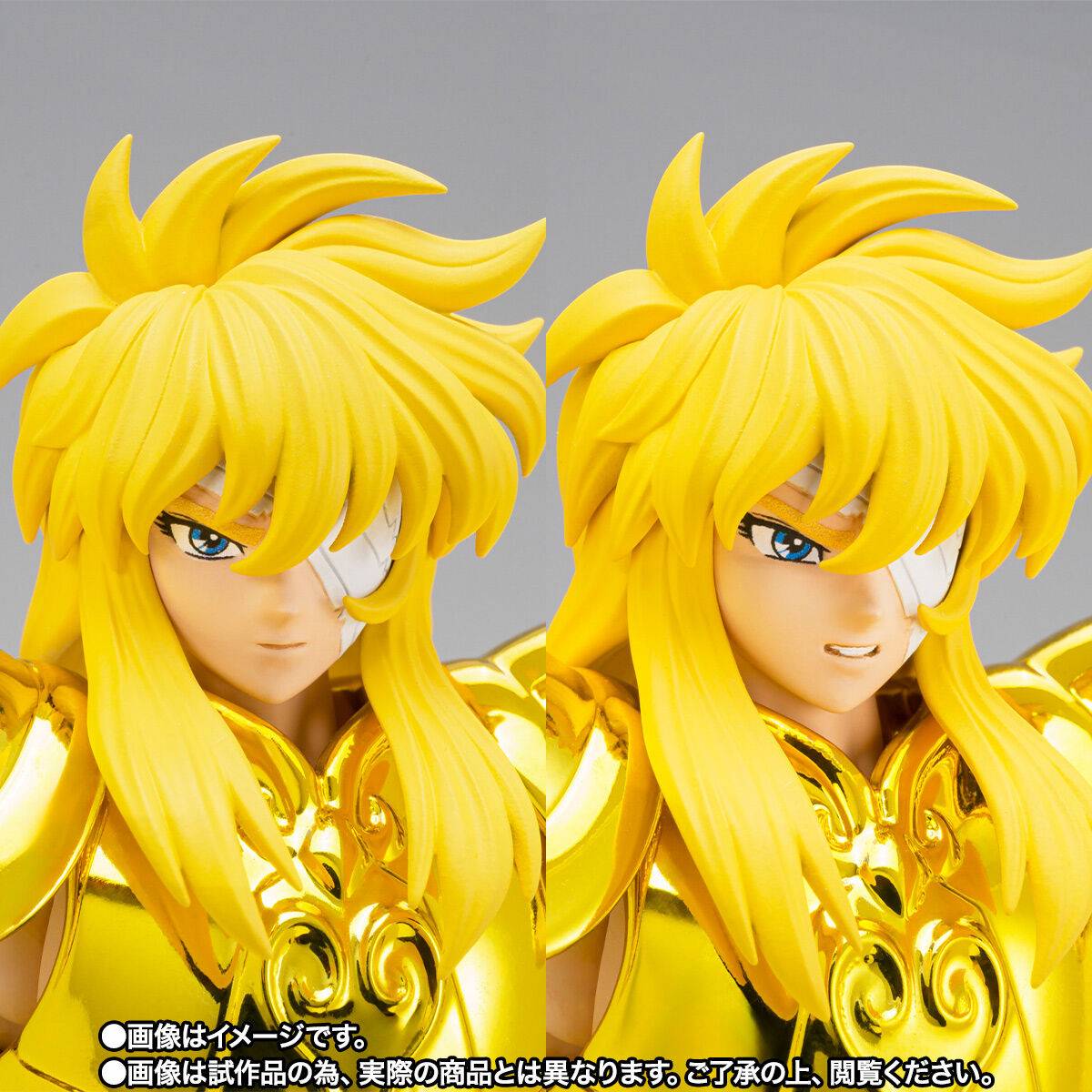 Myth Cloth EX: Saint Seiya - Aquarius Hyoga - Successor of the Golden ...