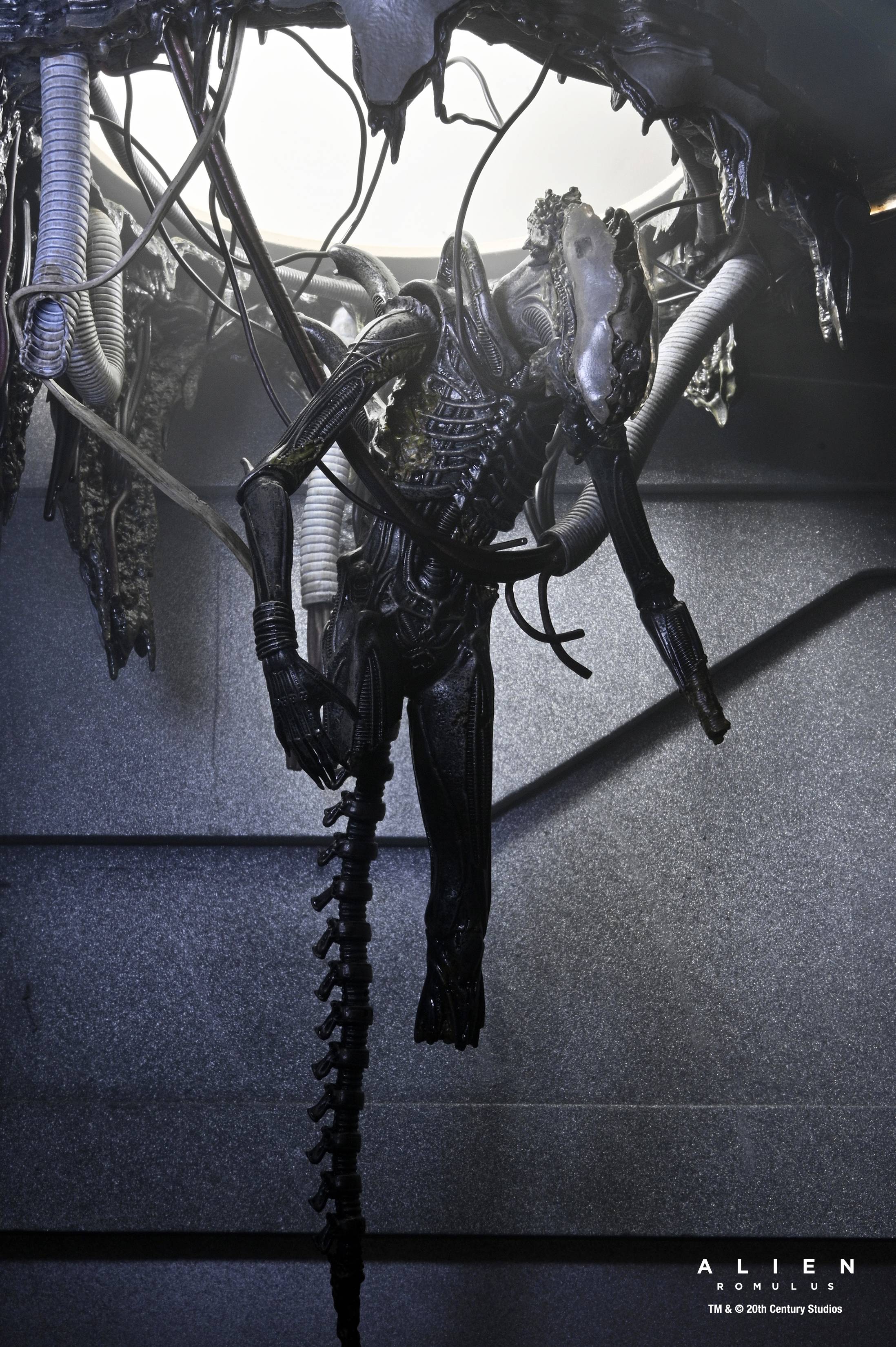 Alien: Romulus - Xenomorph XX121 Suspended Lab DX - 7-inch Action ...