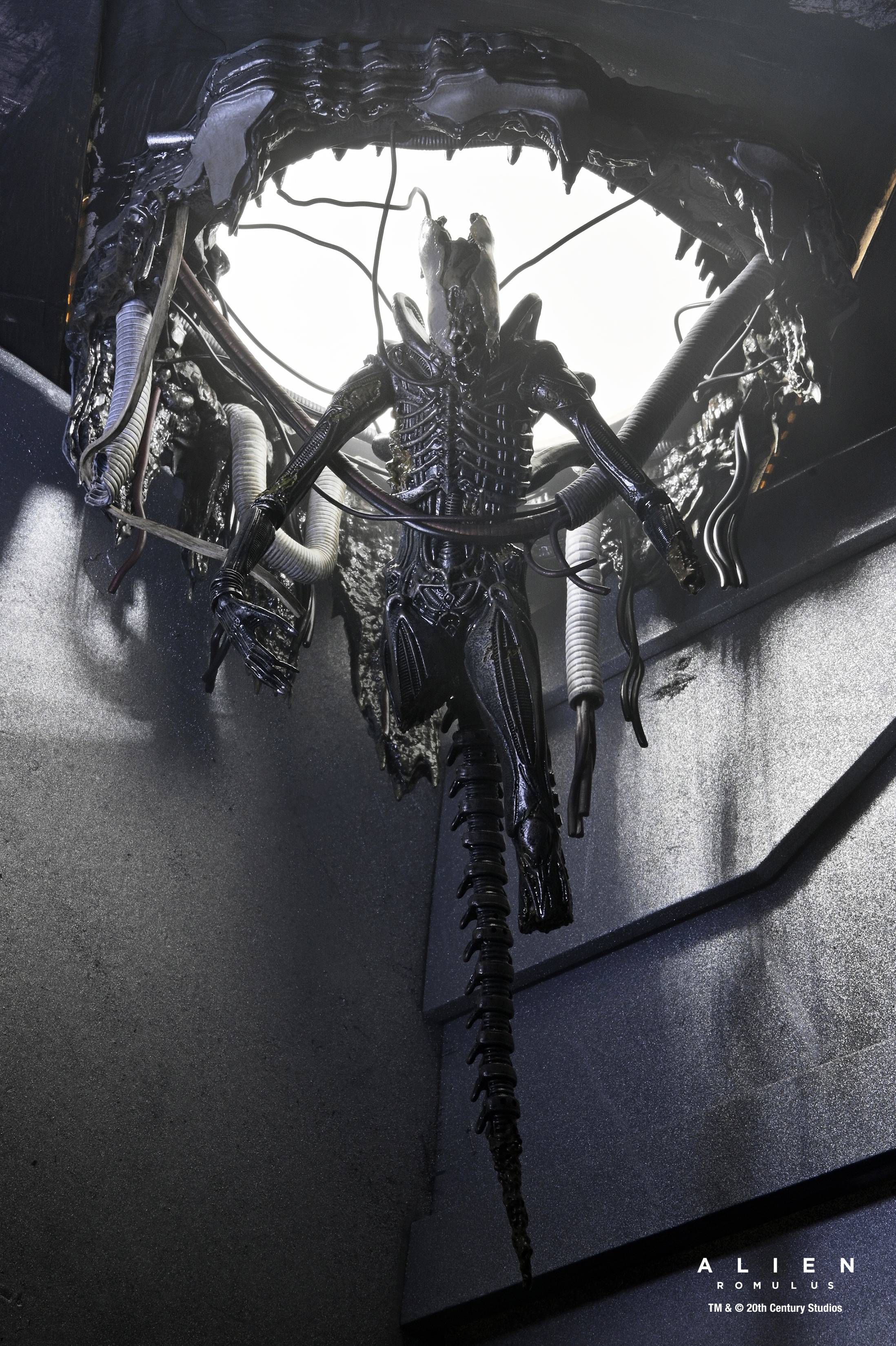 Alien: Romulus - Xenomorph XX121 Suspended Lab DX - 7-inch Action ...