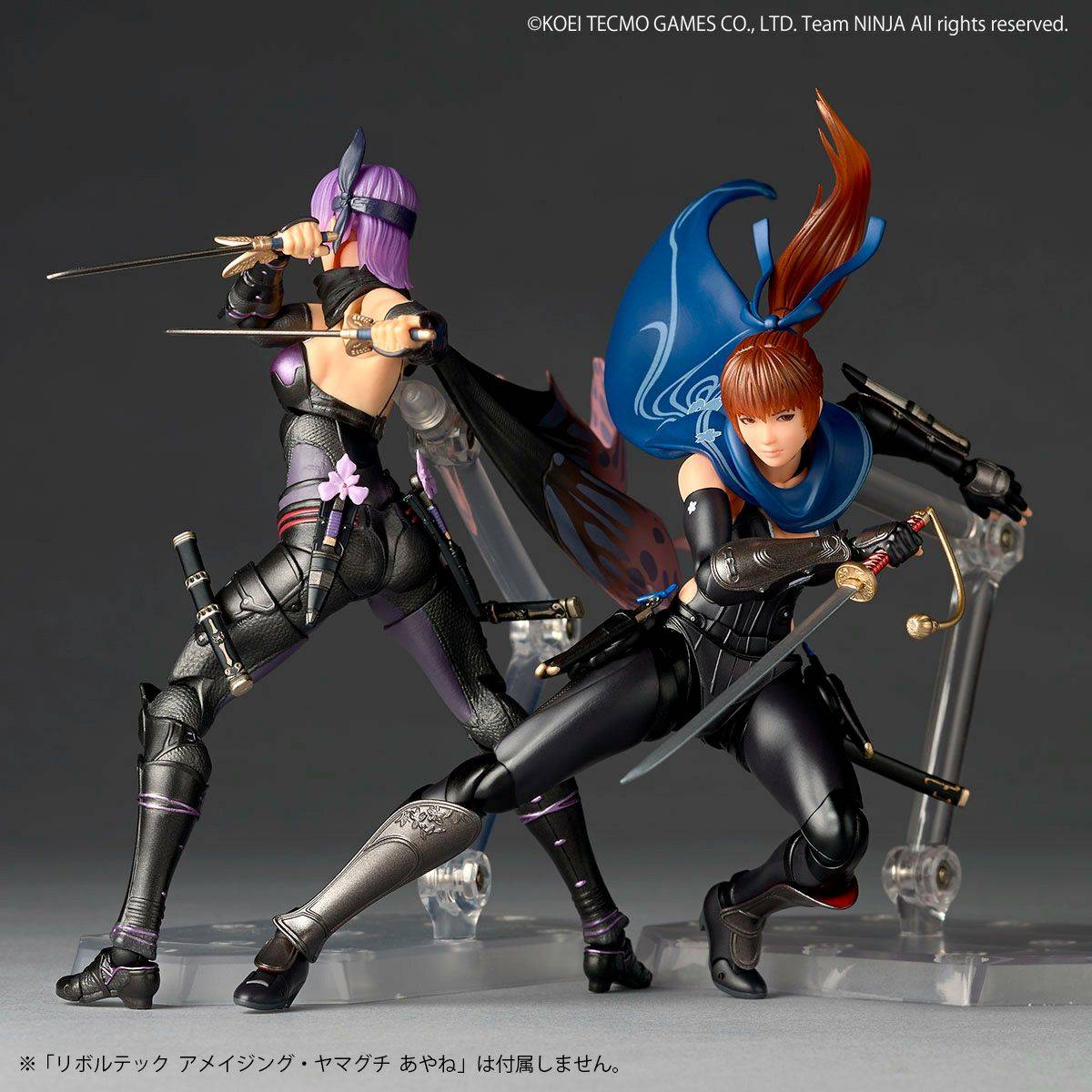 Amazing Yamaguchi / Revoltech: NINJA GAIDEN 3 - Kasumi (Limited + Bonus) [Kaiyodo] - Nin-Nin ...