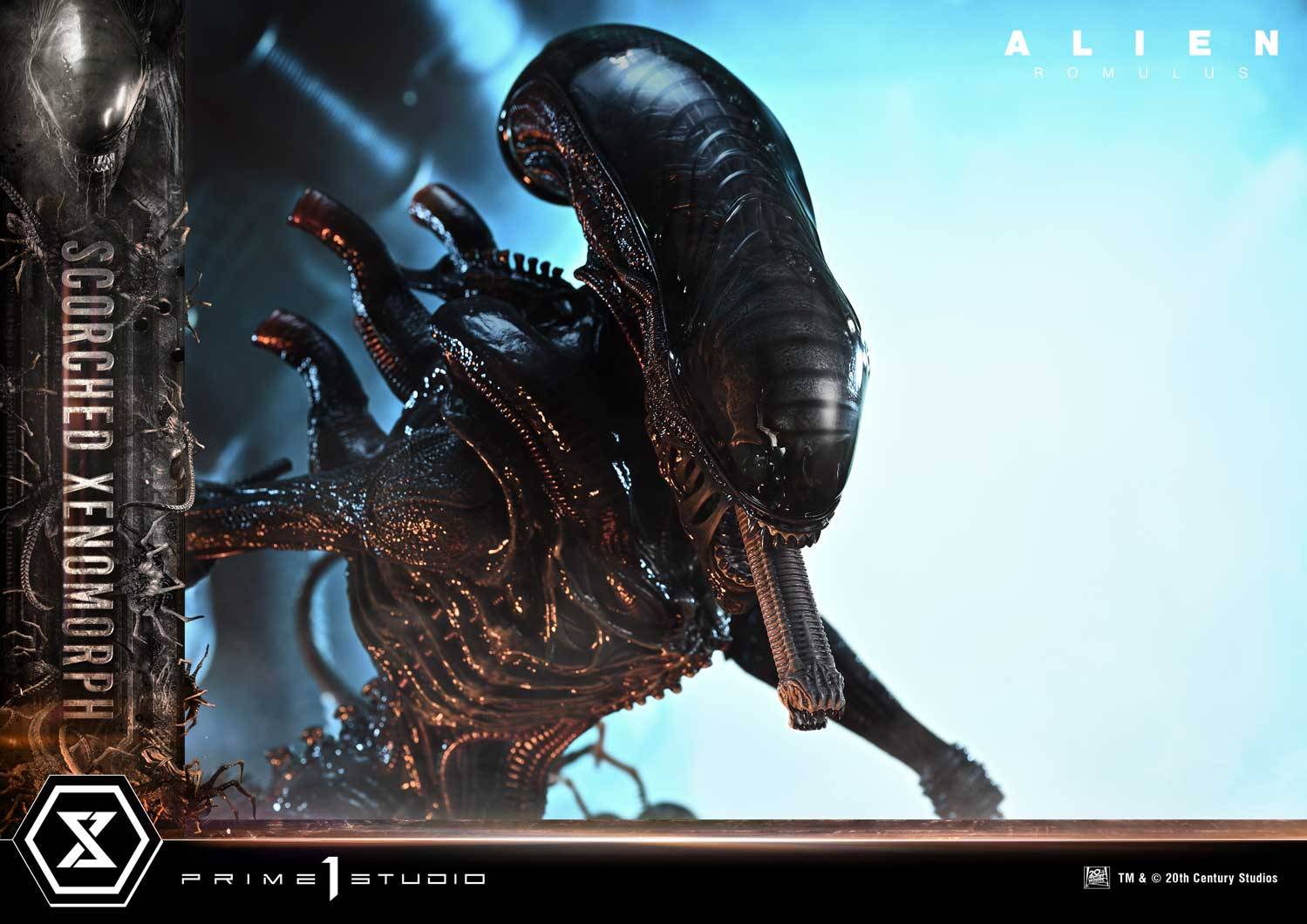 Museum Masterpiece XL: Alien Romulus - Scorched Xenomorph 1/3 [Hot Toys ...