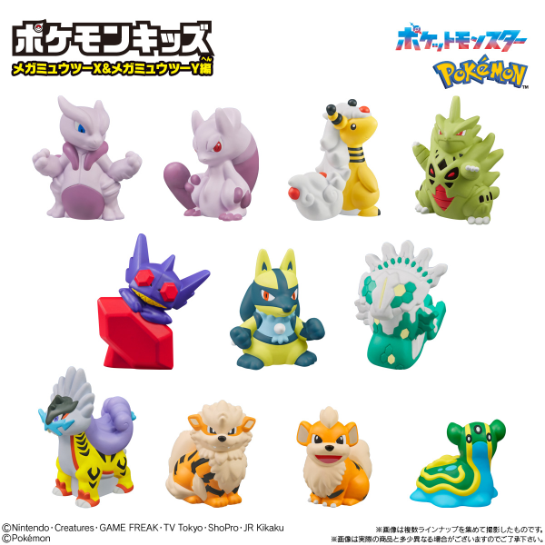 Shokugan: Pokémon Kids - Mega MewTwo X & Mega Mewtwo Y (21 Packs Box ...