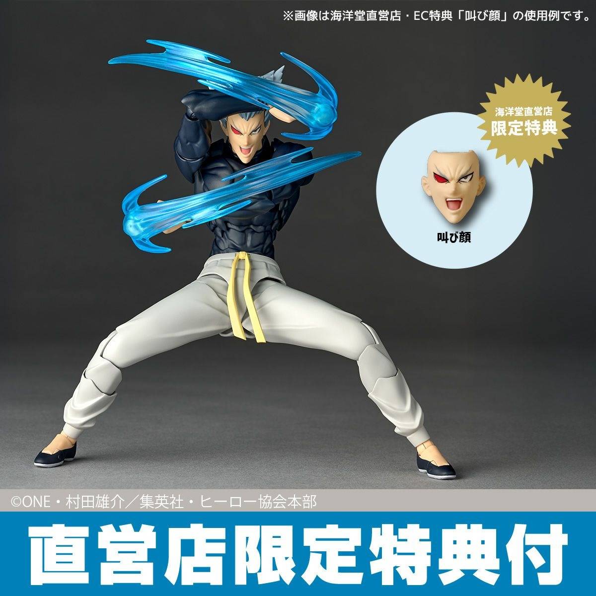 Amazing Yamaguchi / Revoltech: One Punch Man - Garou (Limited + Bonus ...