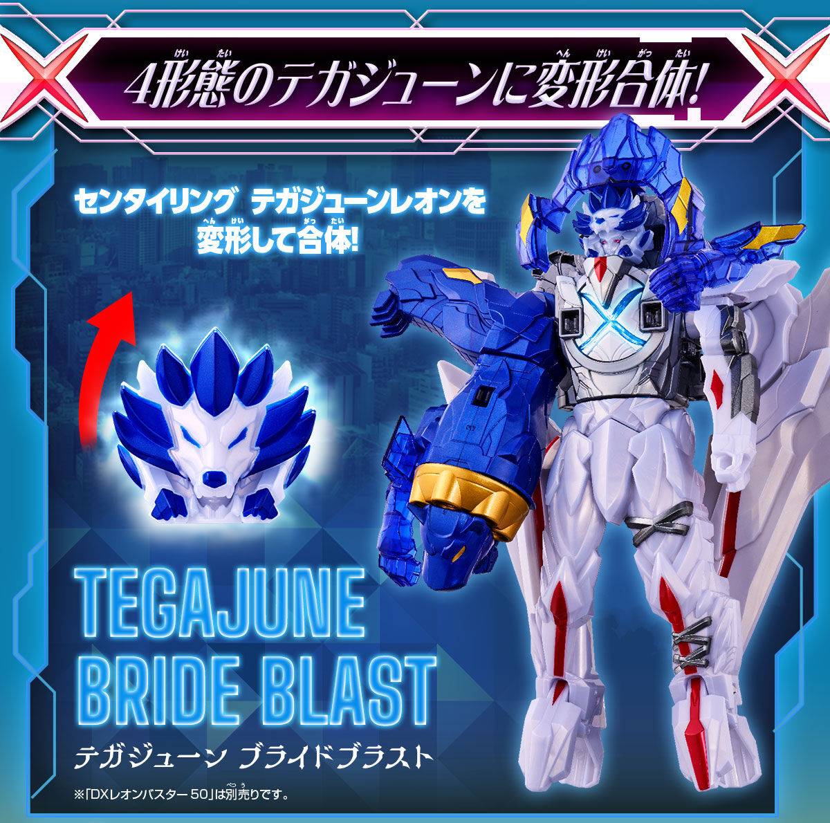 No.1 Sentai Gozyuger: DX Sentai Ring - Tega June Rings & Blank Ring ...