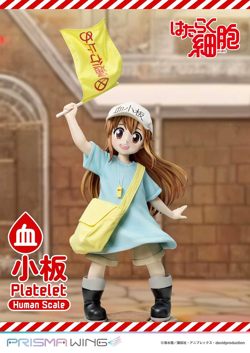 Human Scale Masterline: Cells at Work - Platelet [Prime 1 Studio] - Nin ...