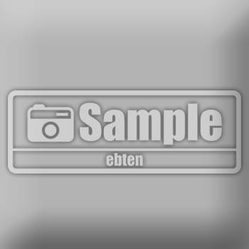 Sonic Forces - DX Pack Limited Edition [Switch] - Nin-Nin-Game.com